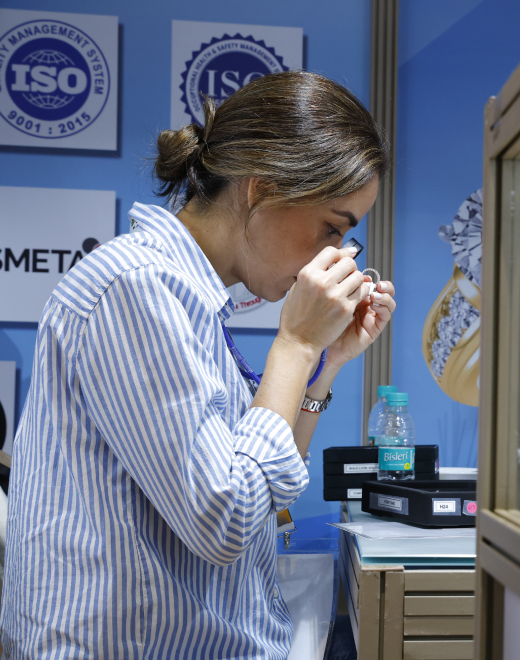 Buyer Seller Meet 2024